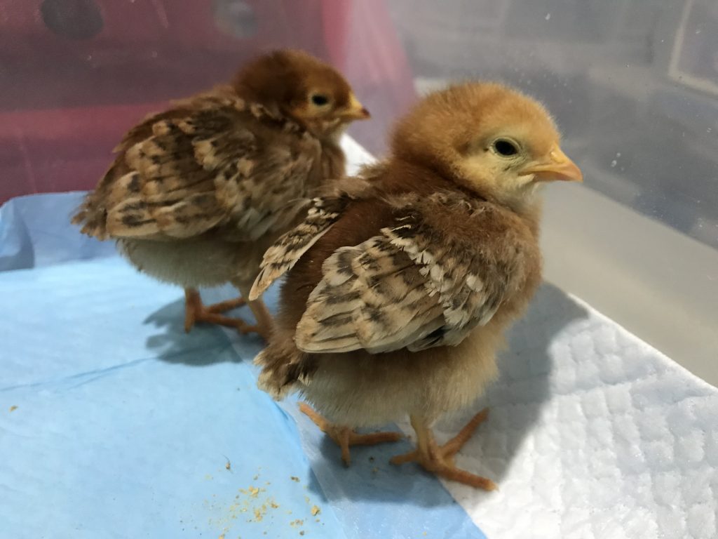 Marriage and Sex Get Messy Pretty Fast, Right?